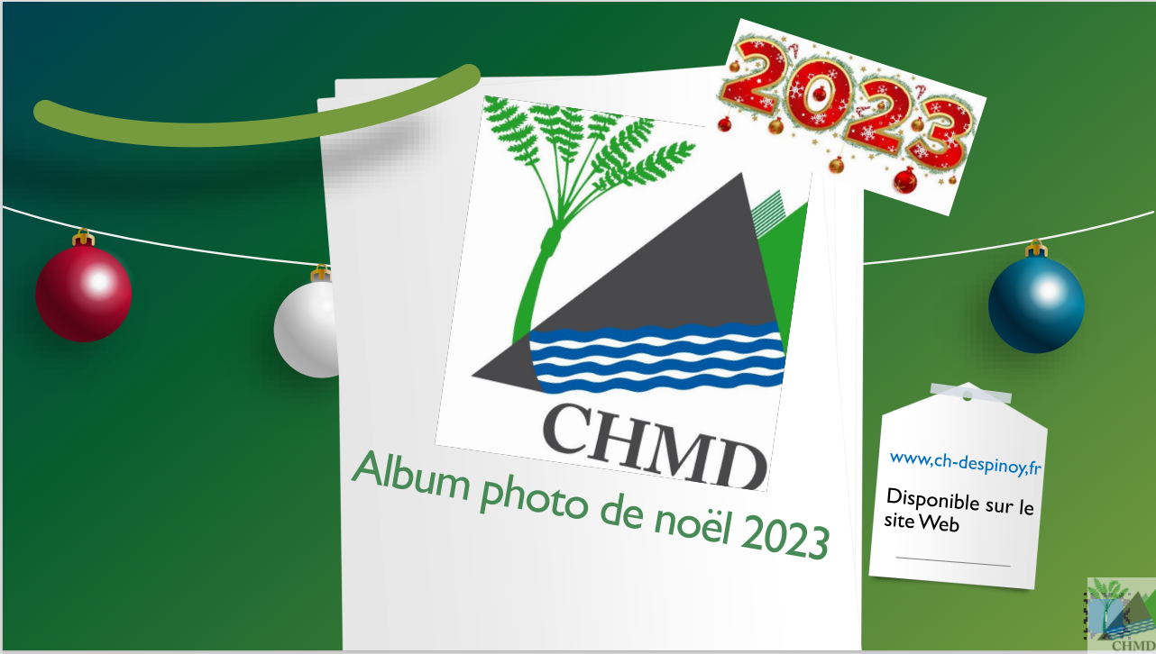 Noël au CHMD Edition 2023 réussie ! - CH Despinoy