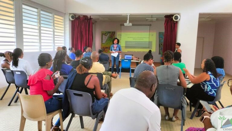 Evaluation des structures médicosociales du CHMD : une véritable ...